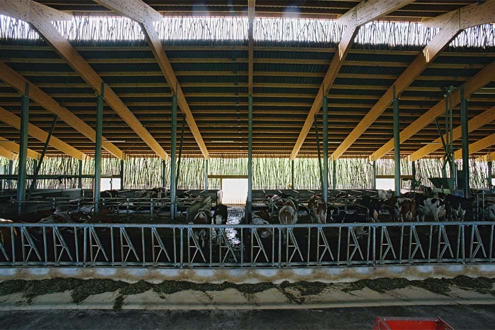 Kuhstall - F.A.B. – Forschungs- und Architekturbüro, Basel